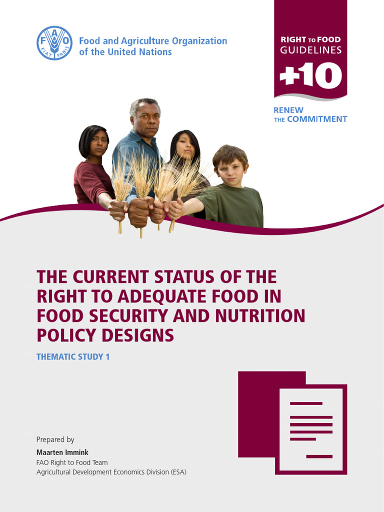 The Current Status On The Right To Adequate Food in Food Security and ...