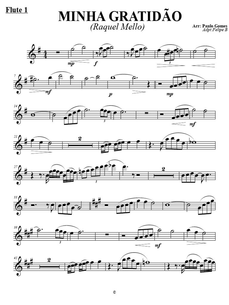 Minha Gratidao Adecin | PDF