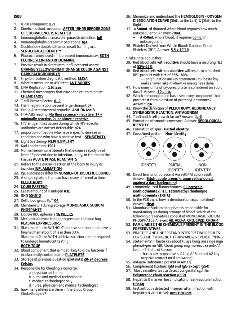 ISBB | PDF | Hepatitis B | Blood Type