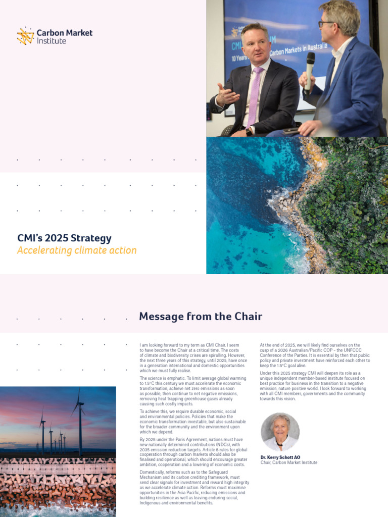 CMI 2025 StrategIc Plan | PDF