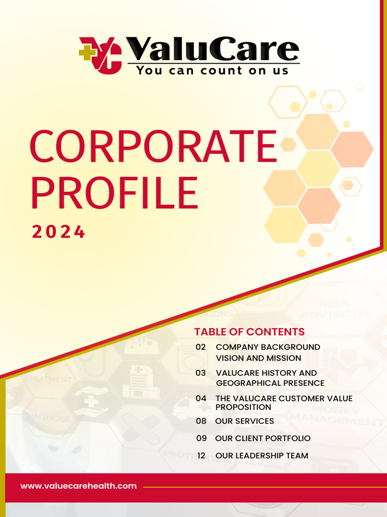 VC Company Profile | PDF