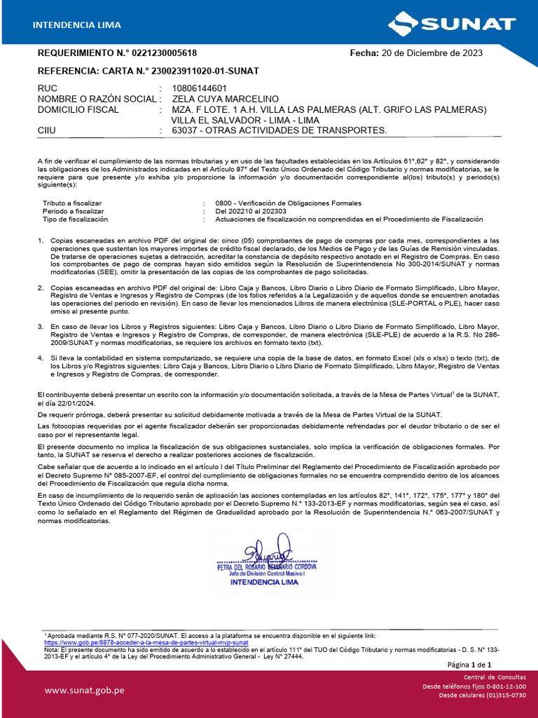 Carta de Requerimiento | PDF | Finanças e Administração de Capital