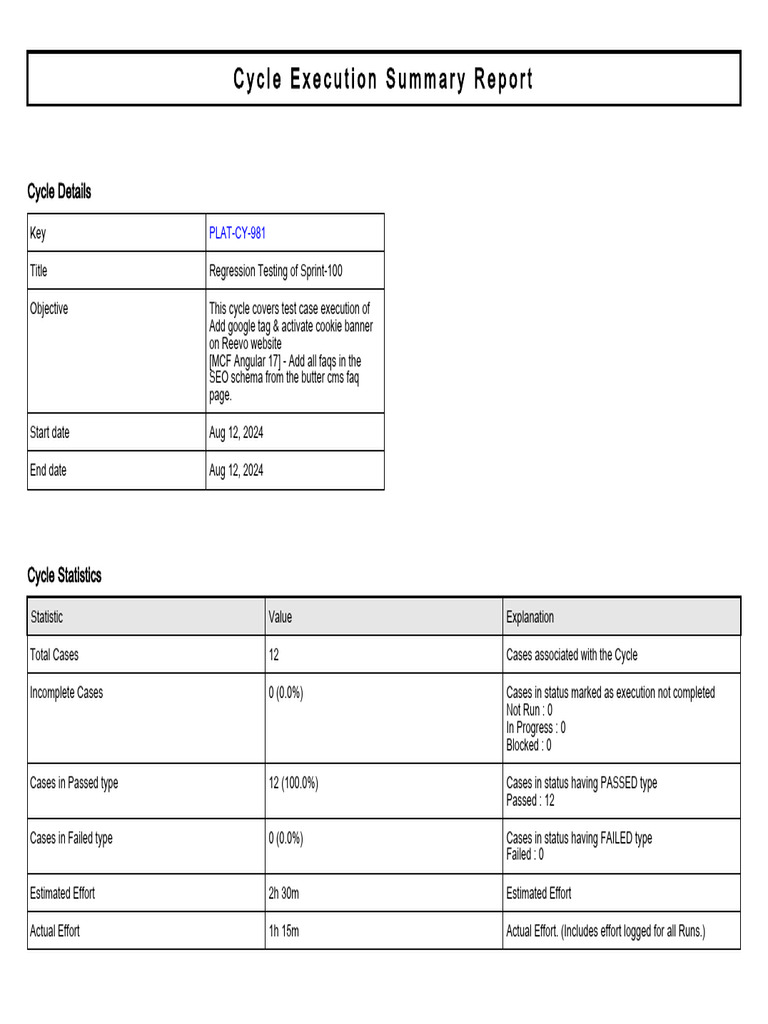 Cycle Execution Summary Report Pdf