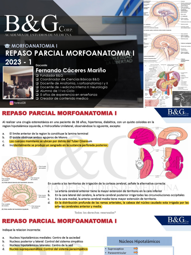 Repaso B&G Final 2023-1 | PDF