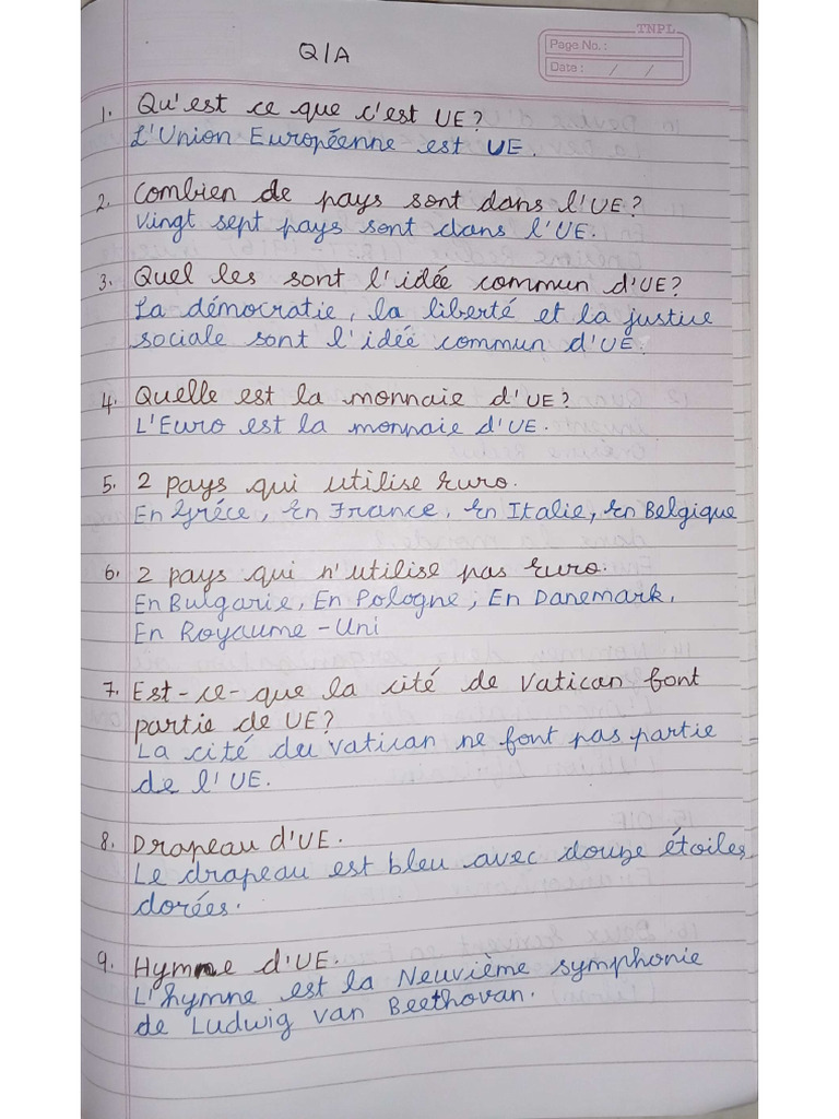 French Assignment | PDF