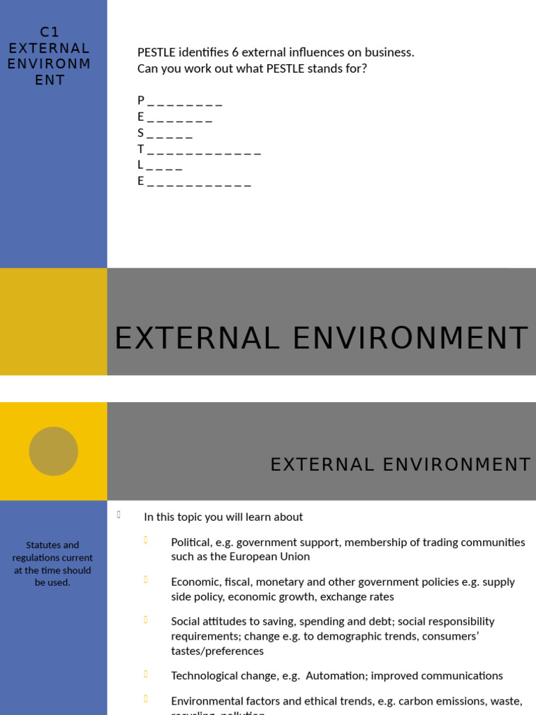 C1 External Environment | PDF