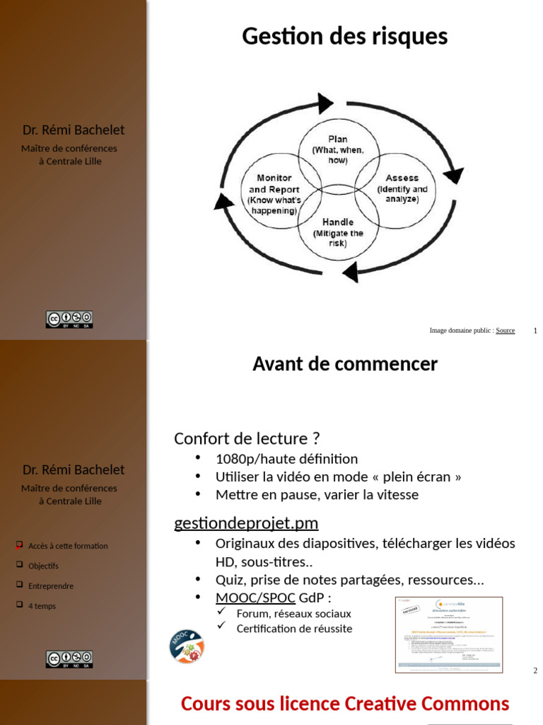Gestion Des Risques Demarche | PDF