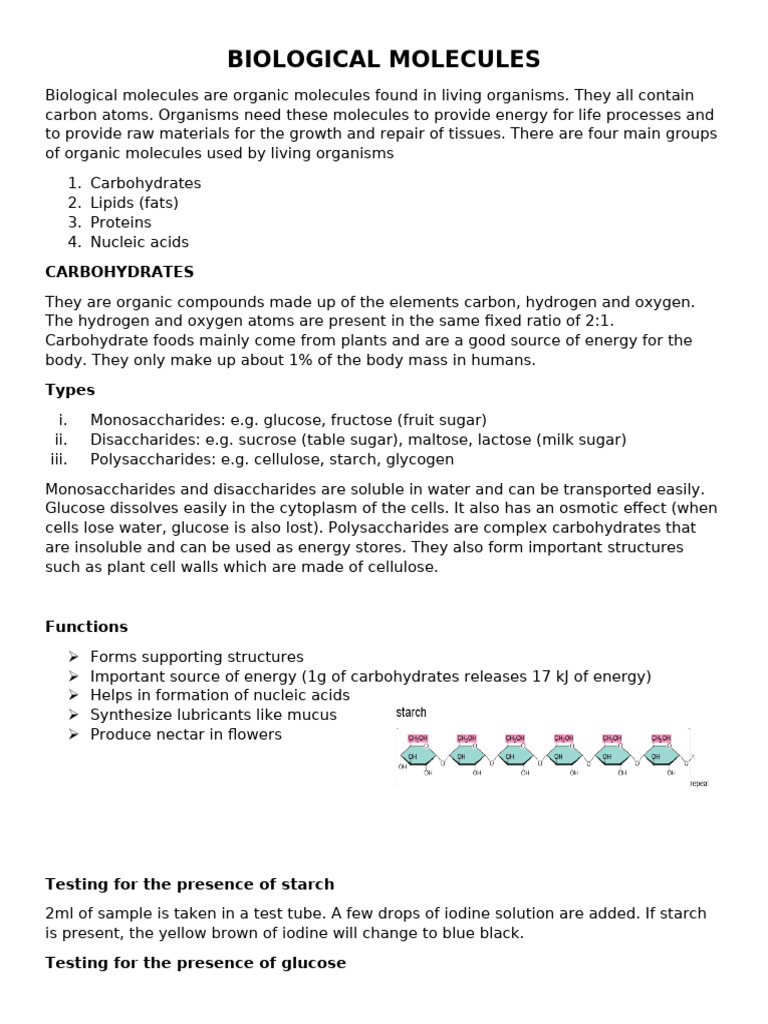 Biological Molecules | PDF