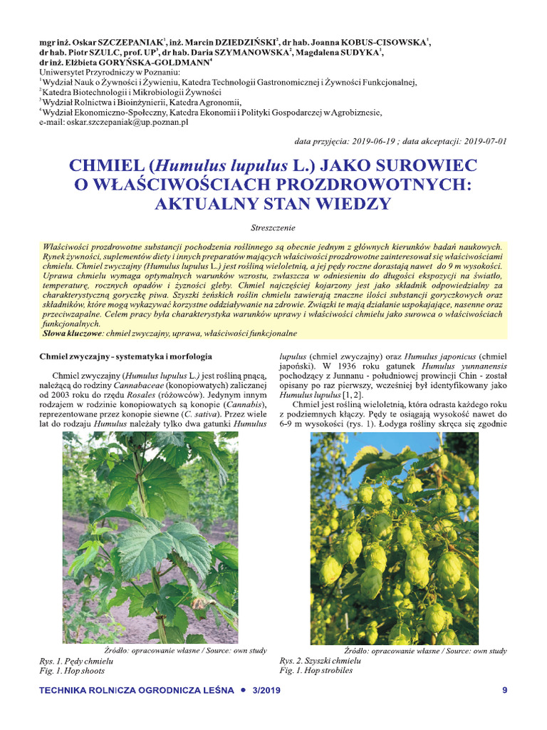 Chmiel | PDF