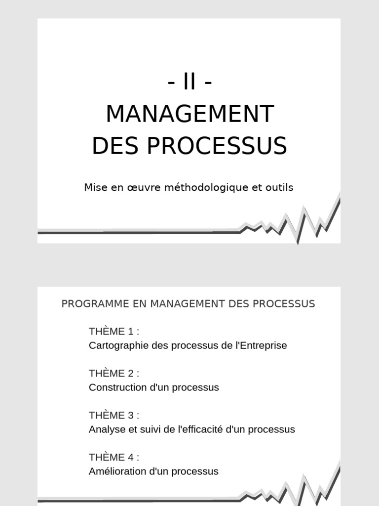 Management-des-processus-2 | PDF