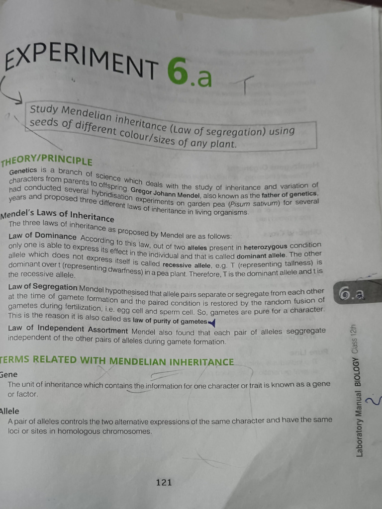 Experiment 6 (A) Spotting | PDF