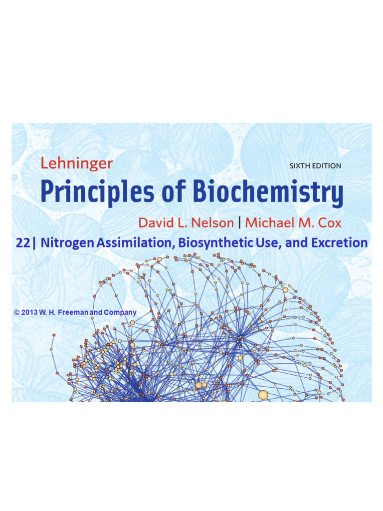 Open 22.1 Nitrogen Assimilation, Biosynthetic Use, and Excretion | PDF