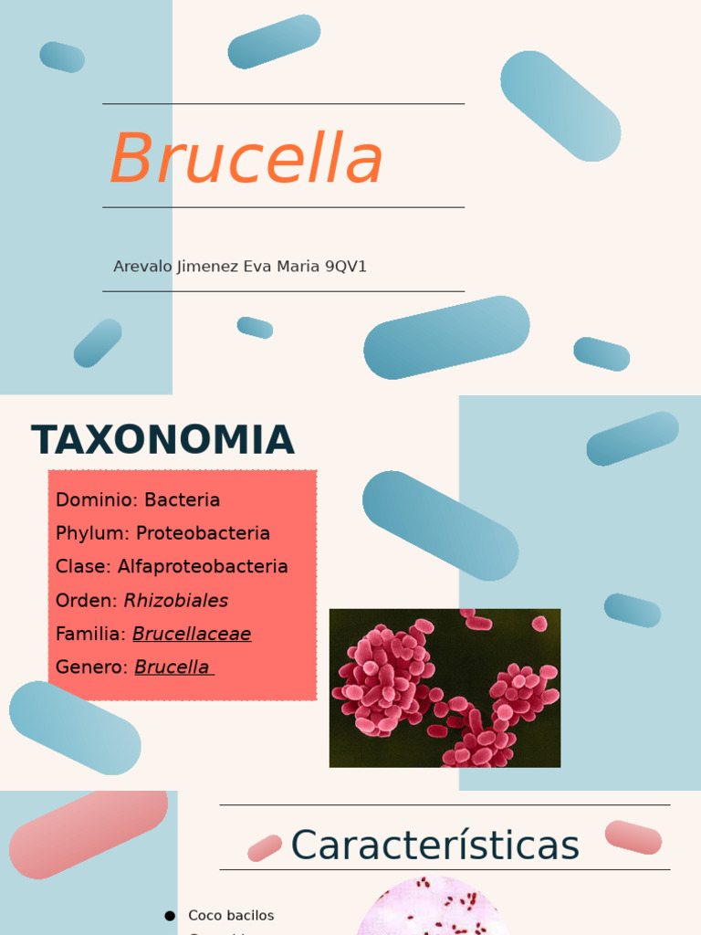 Brucella | PDF