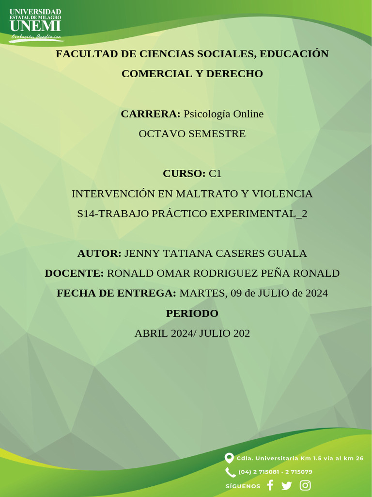 Practicas Pre Profecionales Informe Sga | PDF