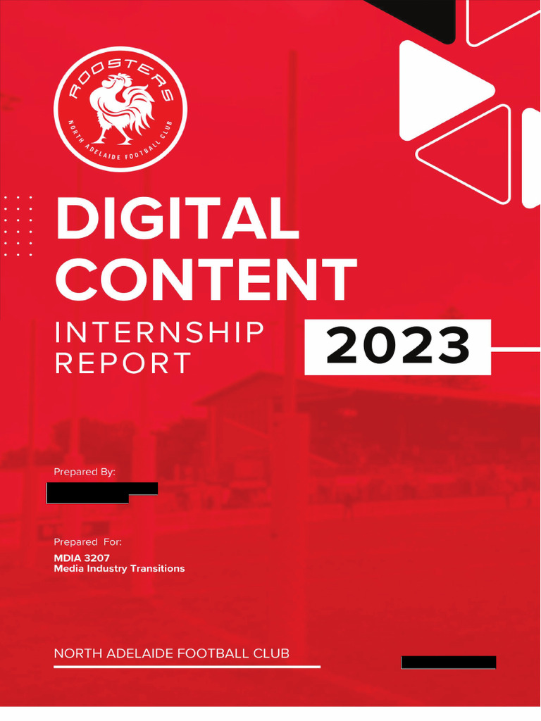 Final Internship Report Example | PDF