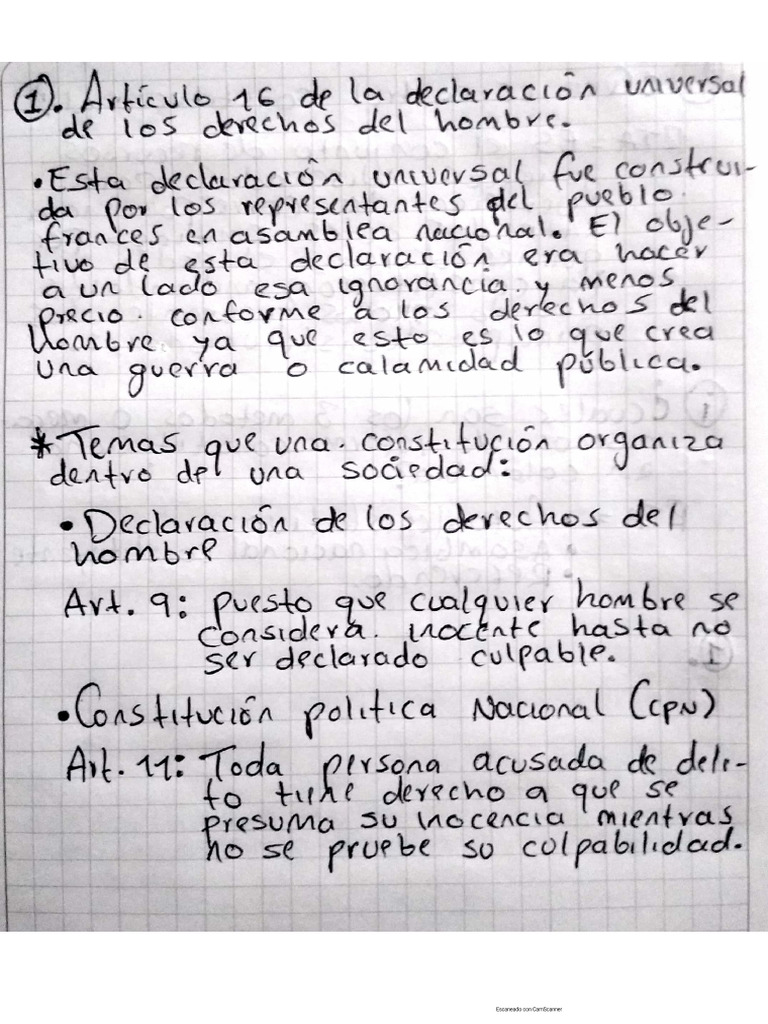 Concepto De Constitución Pdf