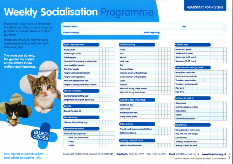 Kitten Socialisation Chart | PDF