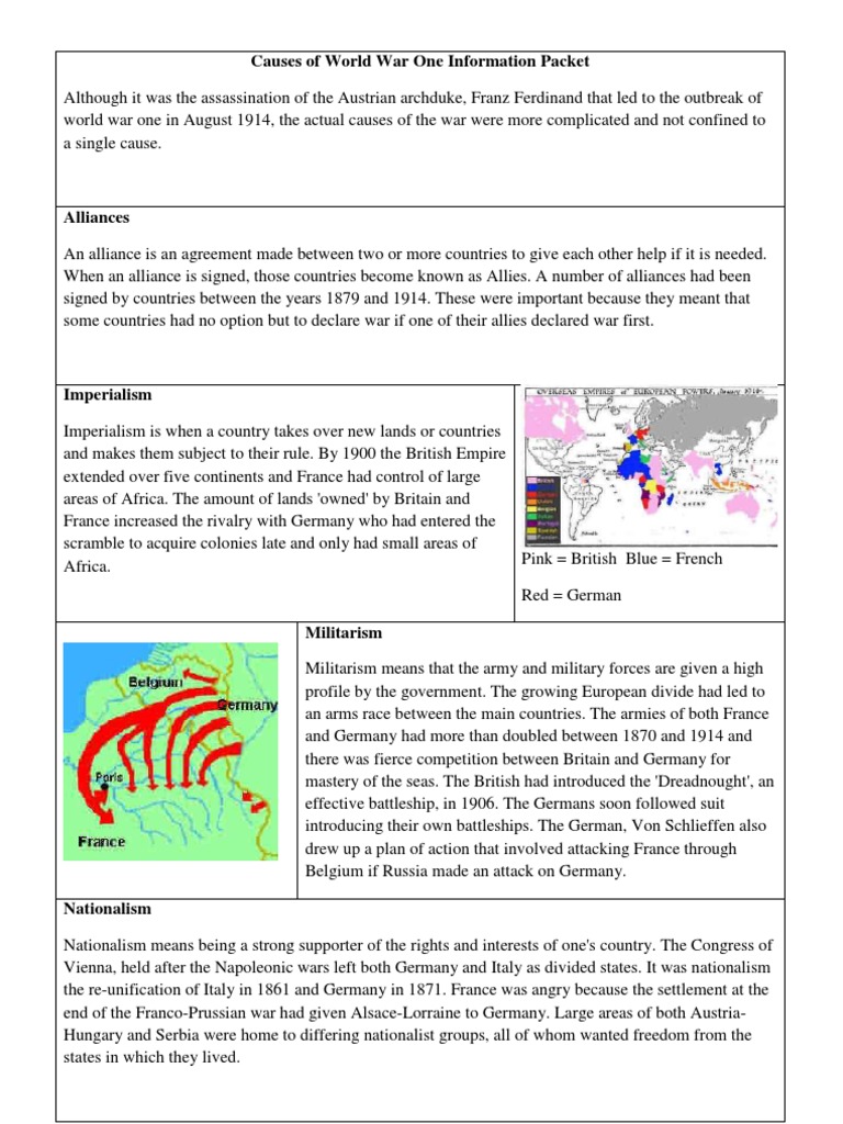 Causes of World War One Explained | PDF | Allies Of World War I | World ...