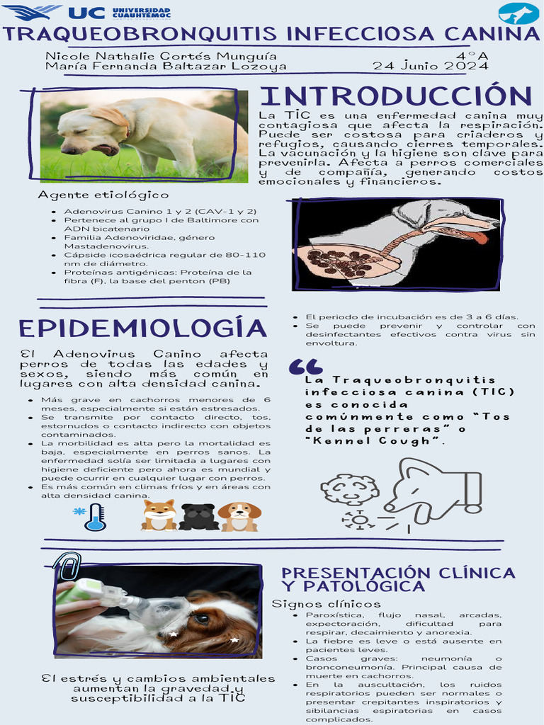 Traqueobronquitis infecciosa canina .pdf | PDF
