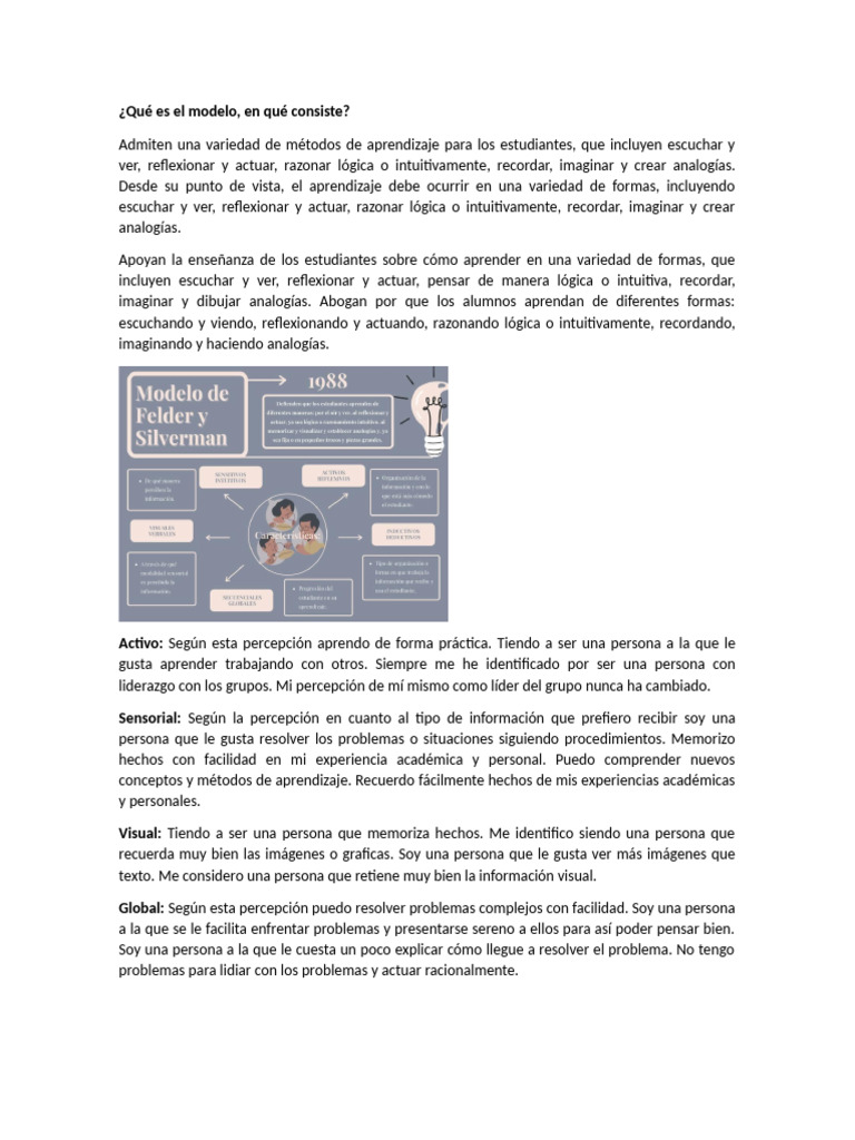 Qué Es El Modelo | PDF