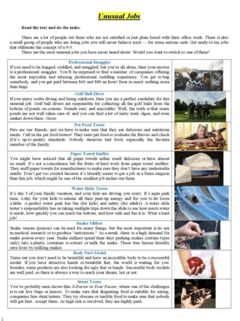 Unusual Jobs | PDF
