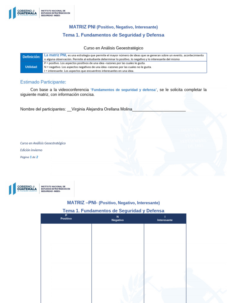 Matriz Tarea PNI | PDF
