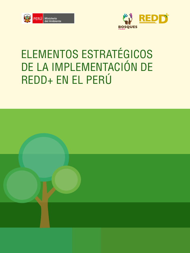 Ffa27f Elementos Estrategicos Redd | PDF