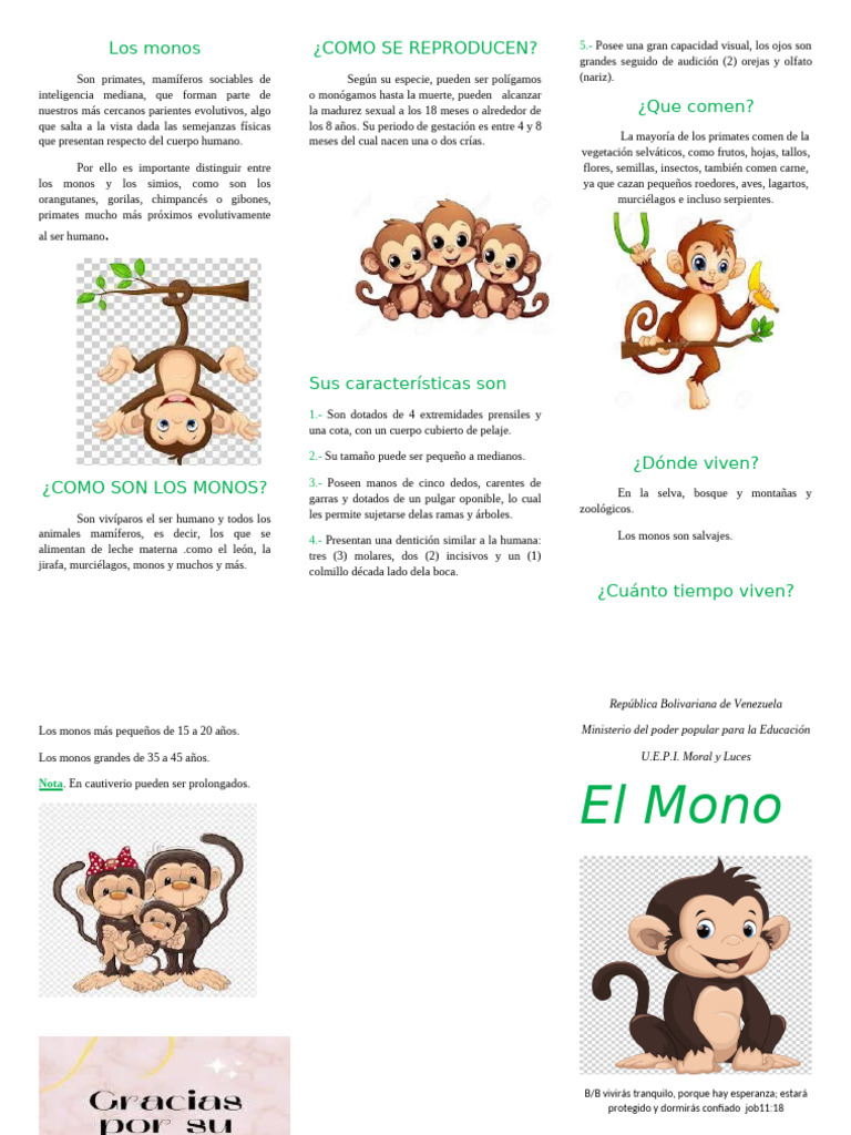 Monos | PDF