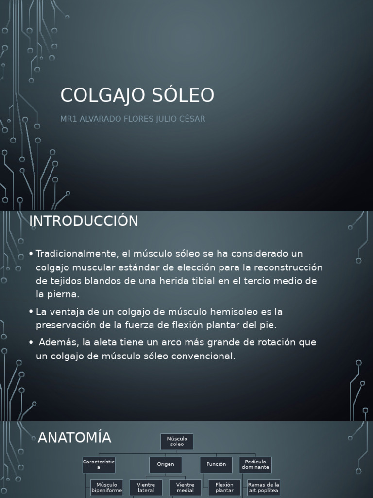 Colgajo Hemisoleo en Reconstrucción Tibial | PDF | Tejido suave ...