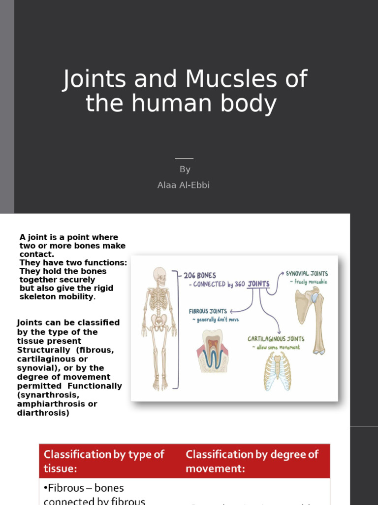 Joints of The Human Body | PDF
