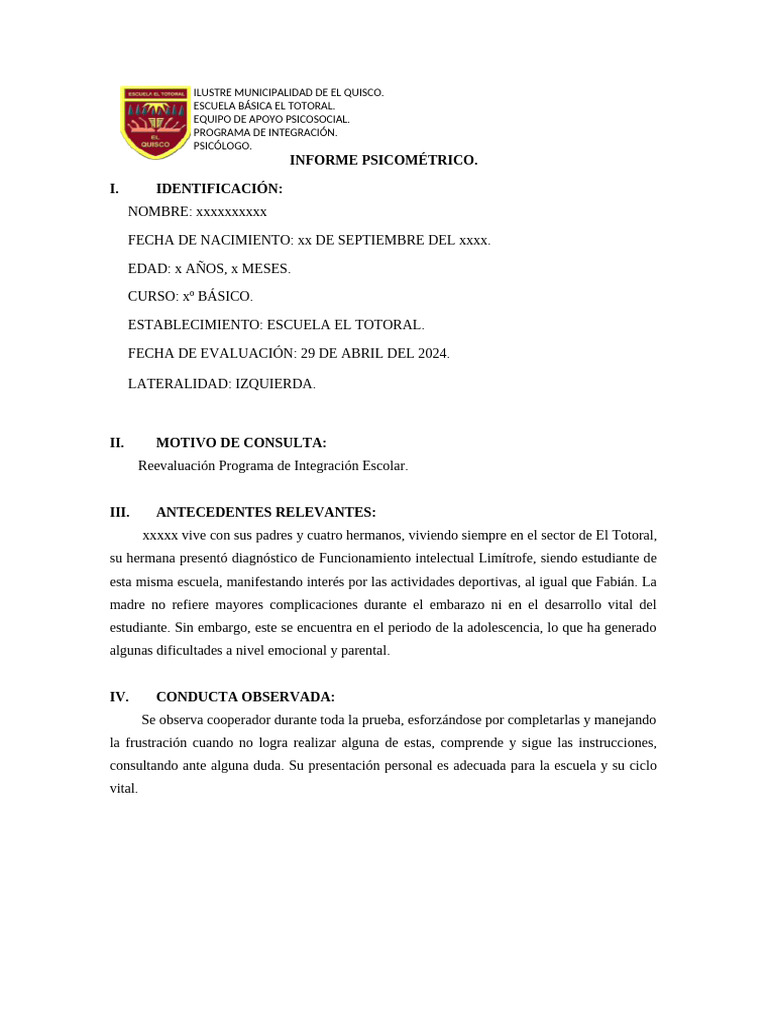 Ejemplo Informe | PDF