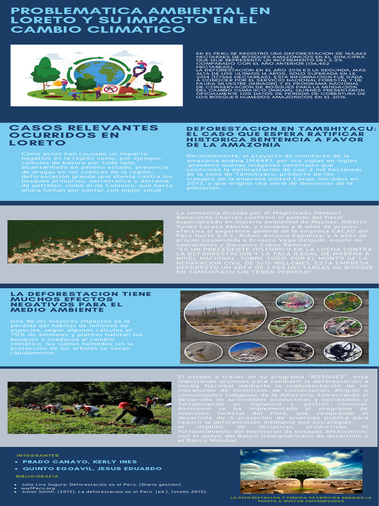 Pa3. Colaborativo | PDF