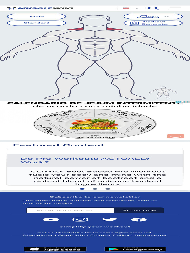 MuscleWiki - Simplify Your Workout | PDF