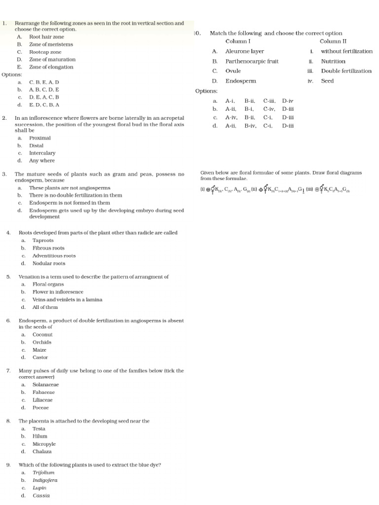 Morphology of Flowering Plants Worksheet | PDF