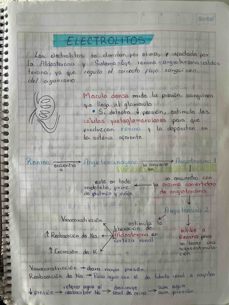 ELECTROLITOS | PDF