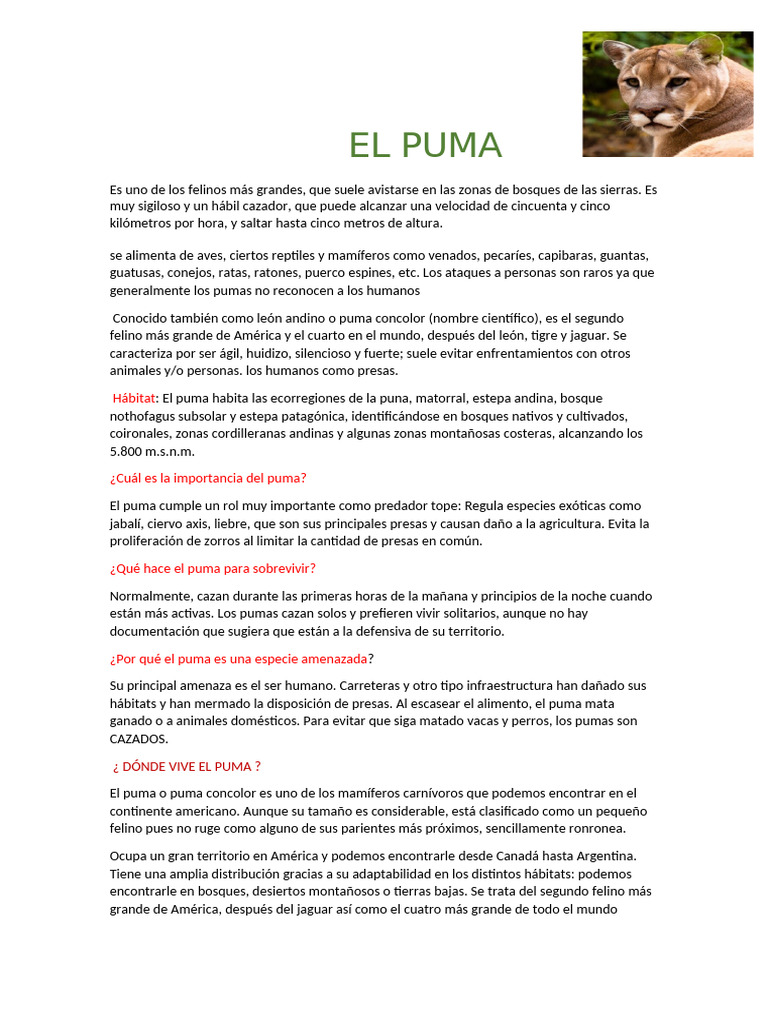 EL PUMA | PDF