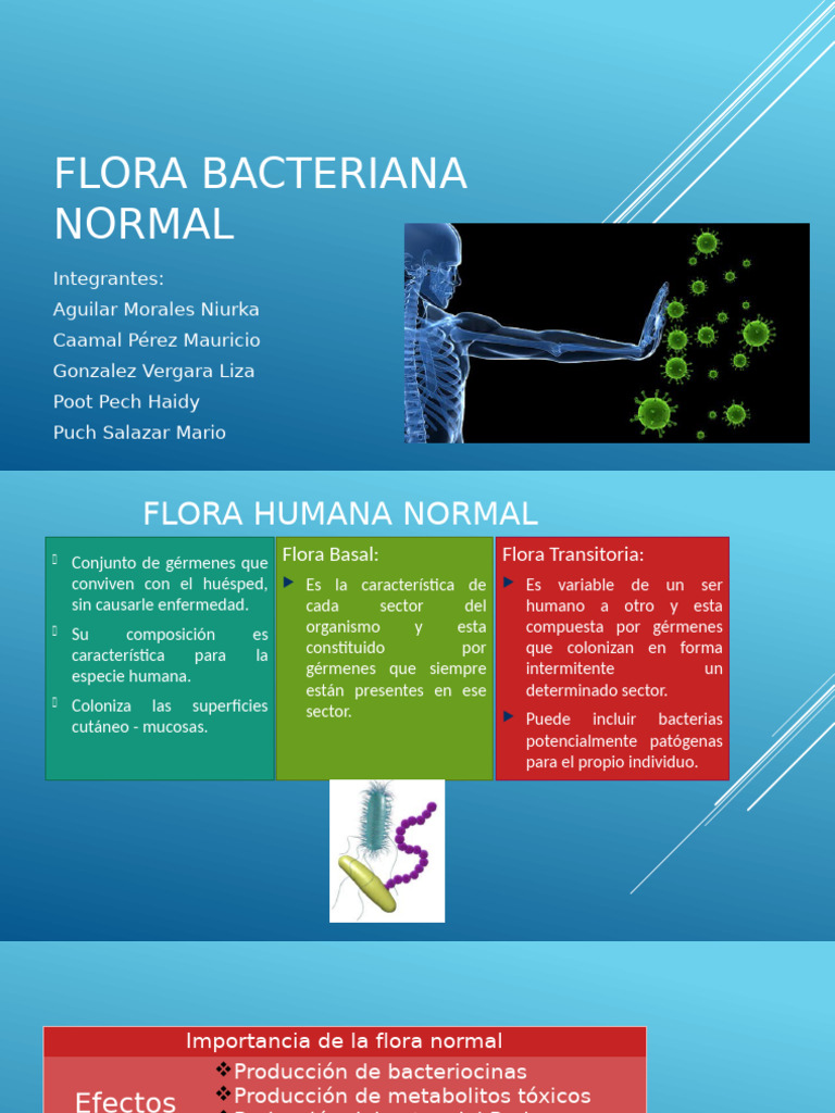 Flora Bacteriana | PDF