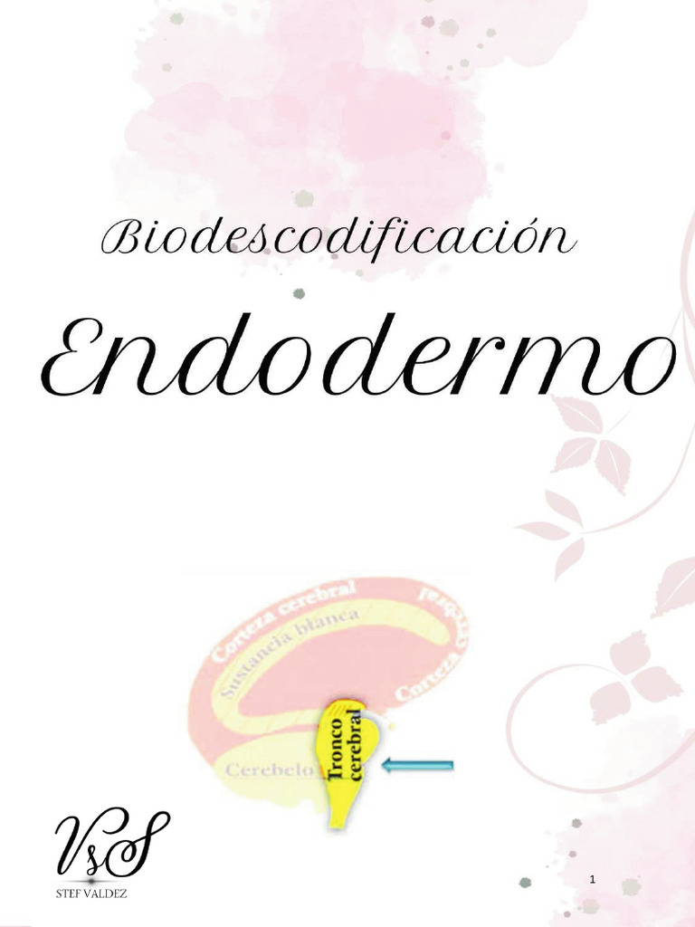 Endodermo-Biodescodificacion - PDF 20240723 122553 0000 | PDF