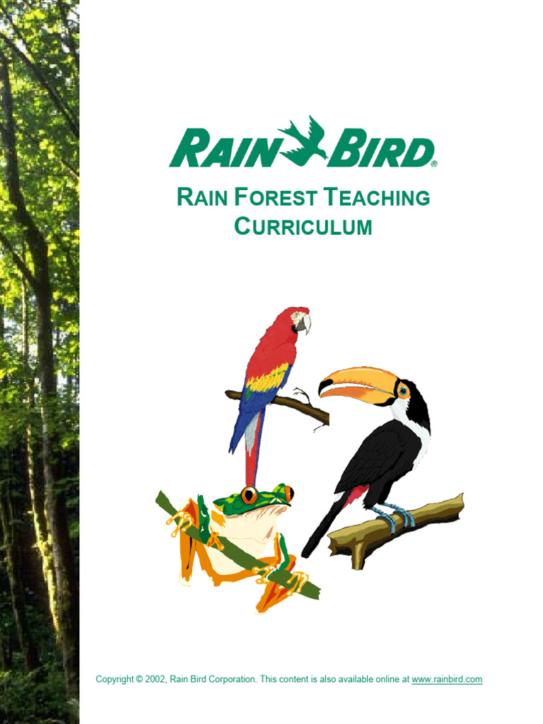 Rainforest Curriculum | PDF