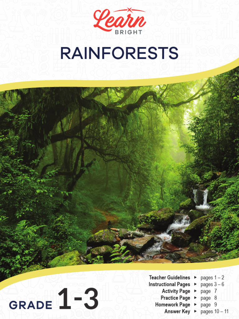 Rainforests | PDF