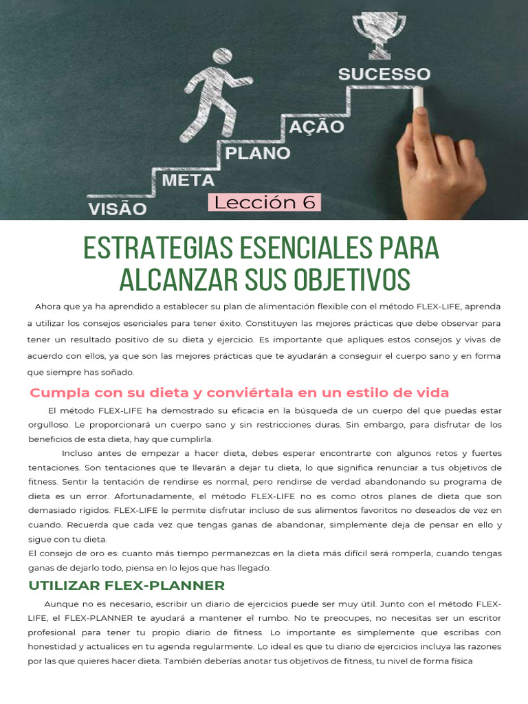 06 Leccion FLEXLIFE | PDF