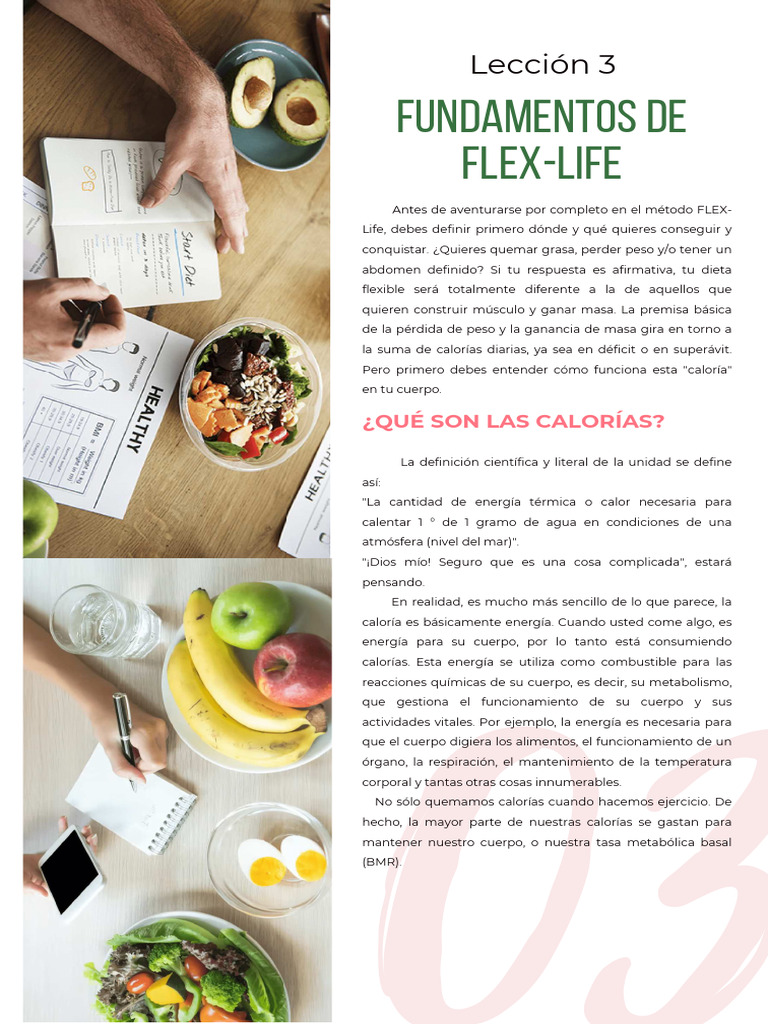 03 Leccion FLEXLIFE | PDF