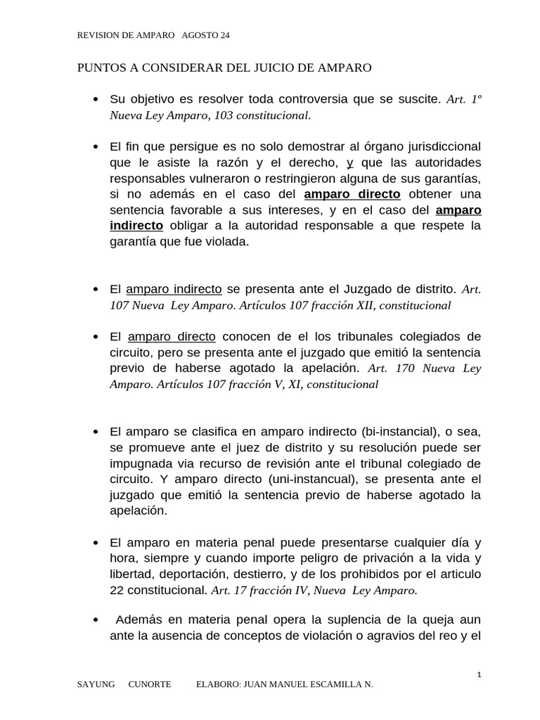Puntos A Considerar Del Juicio de Amparo | PDF