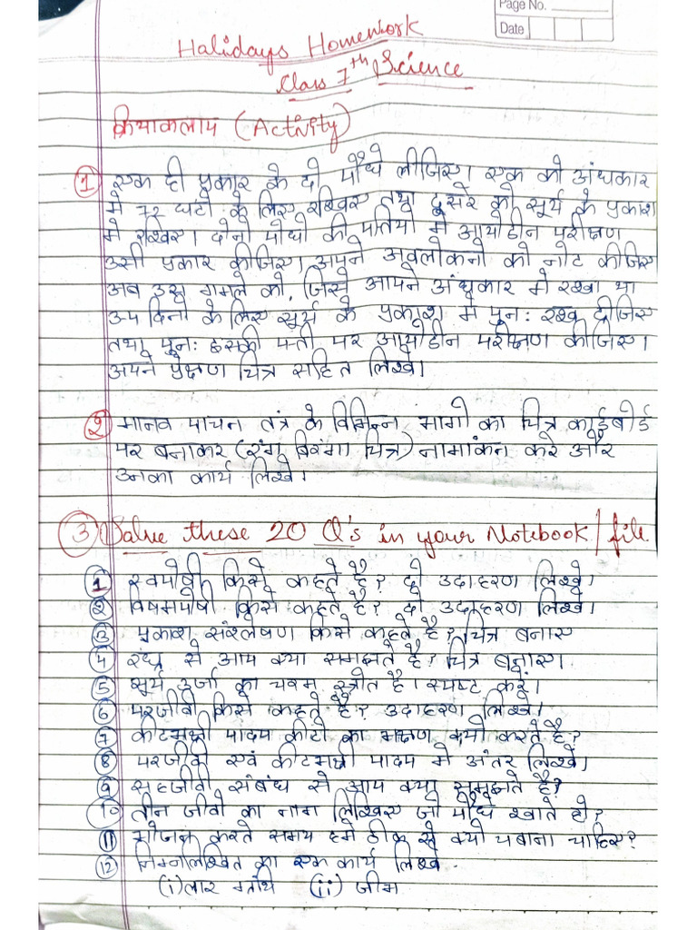 Class 7 Science Holidays Homework | PDF