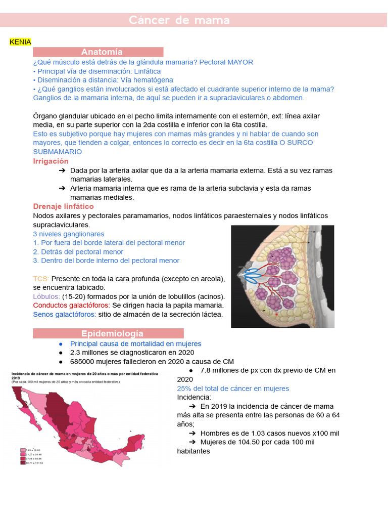 Cáncer de Mama | PDF