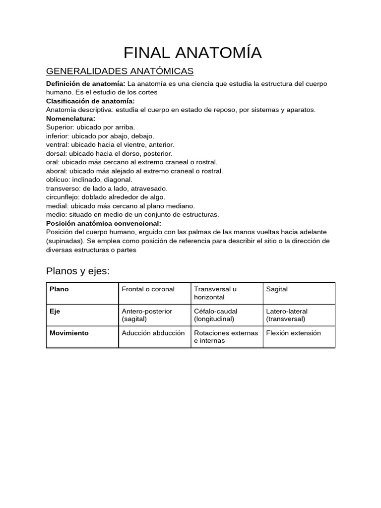 FINAL ANATOMÍA (1) | PDF