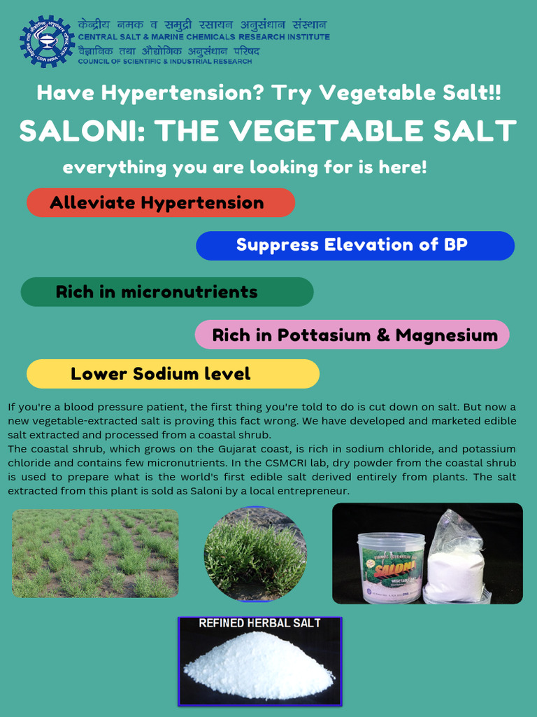 Saloni The Vegetable Salt (1) | PDF