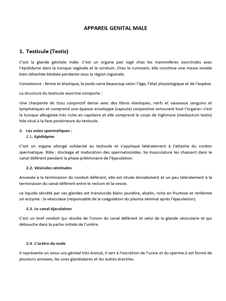 Appareil Genital Male | PDF Appareil Genital Male | PDF