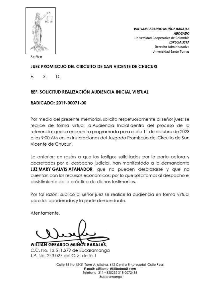 Solicitud de Audiencia Virtual | PDF