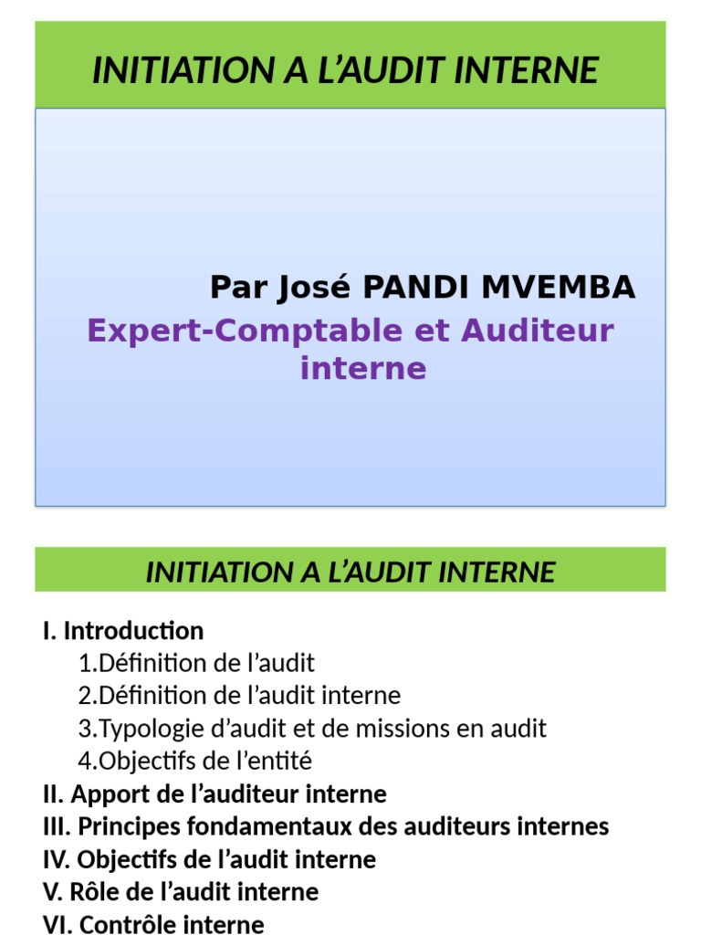 Initiation A L'audit Interne | PDF